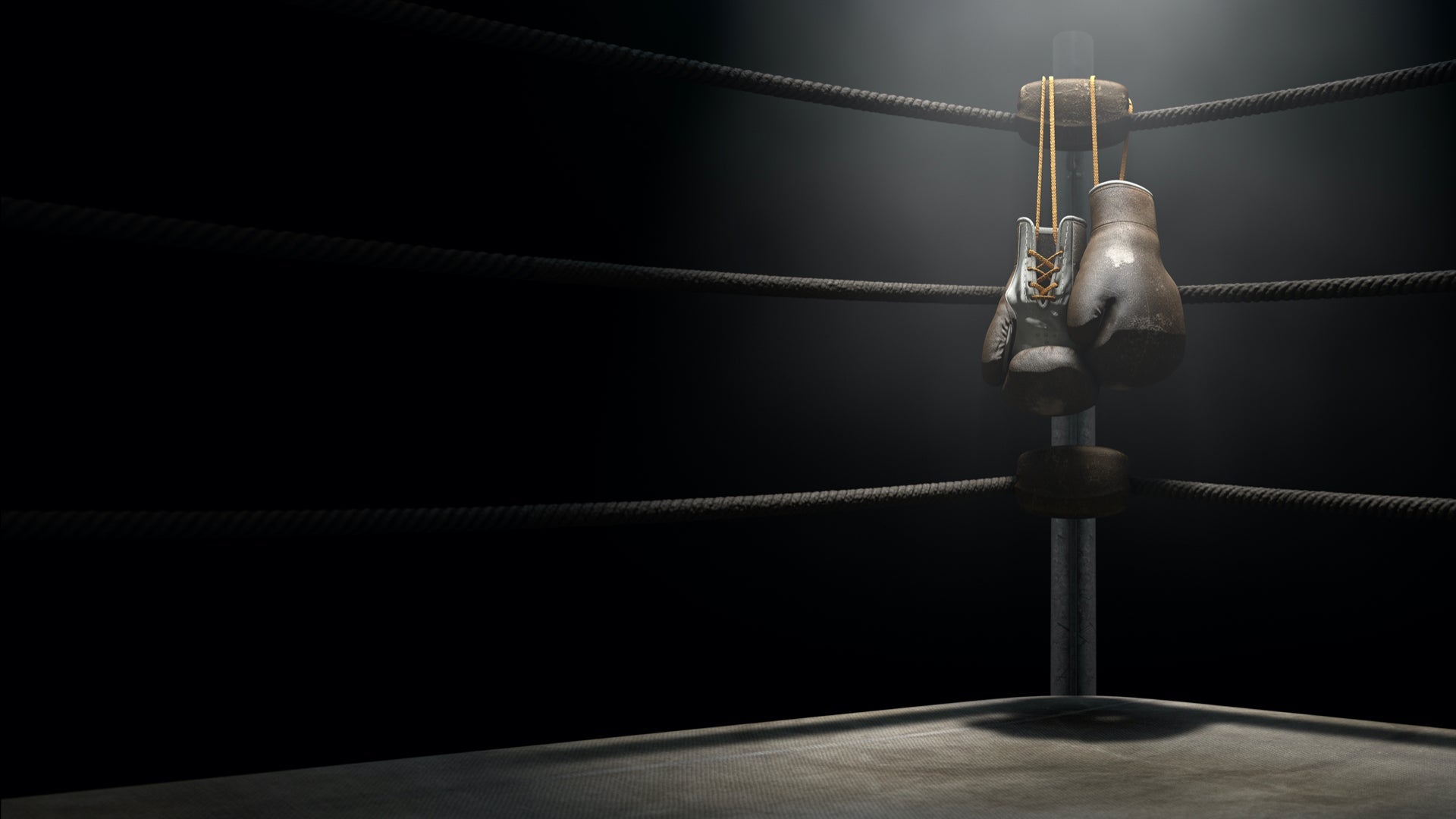 Fight Club Workbooks – MANUP